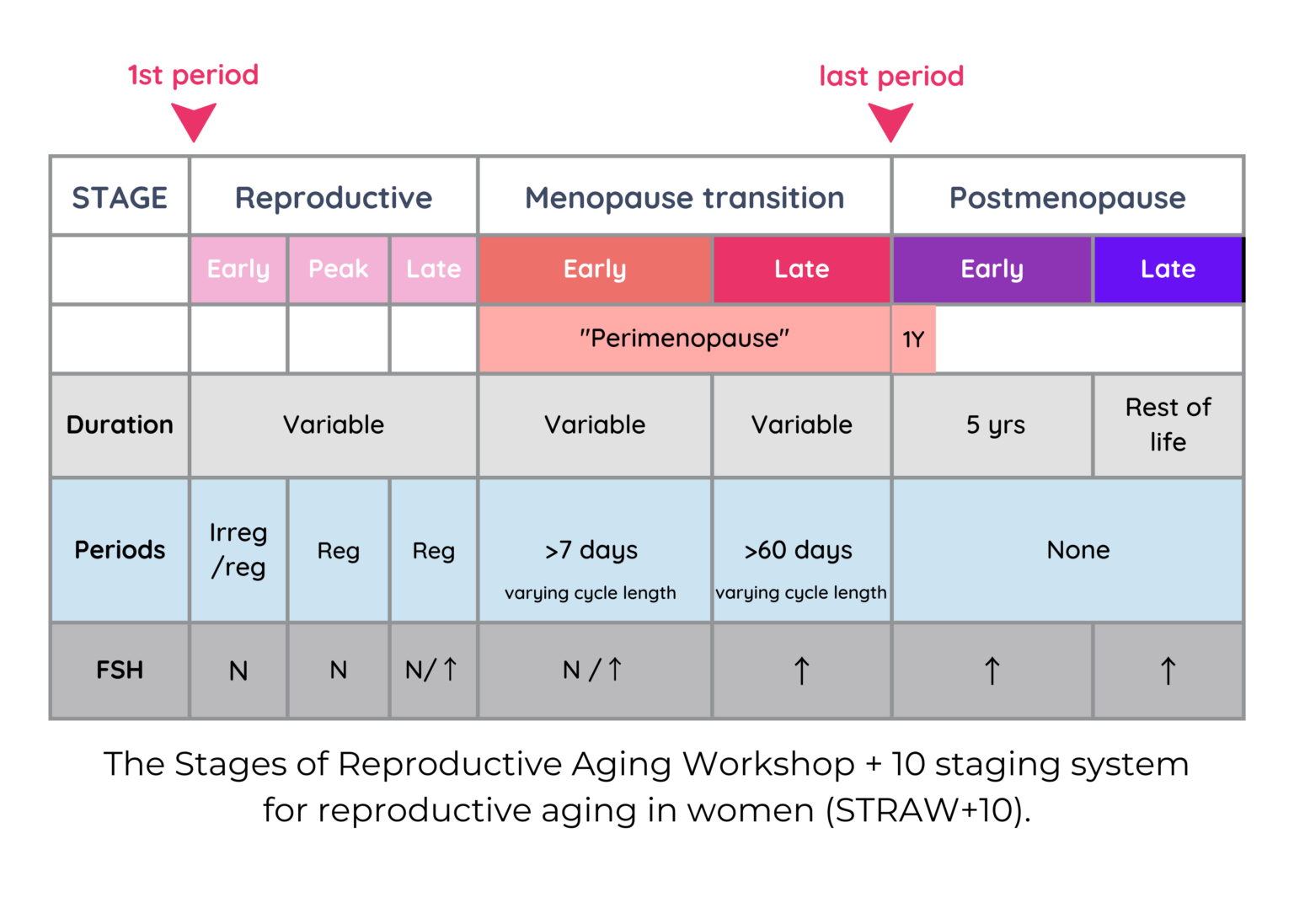 reproductive stages - viv health
