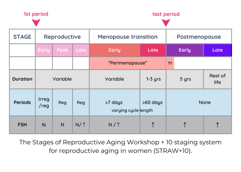 reproductive stages - viv health